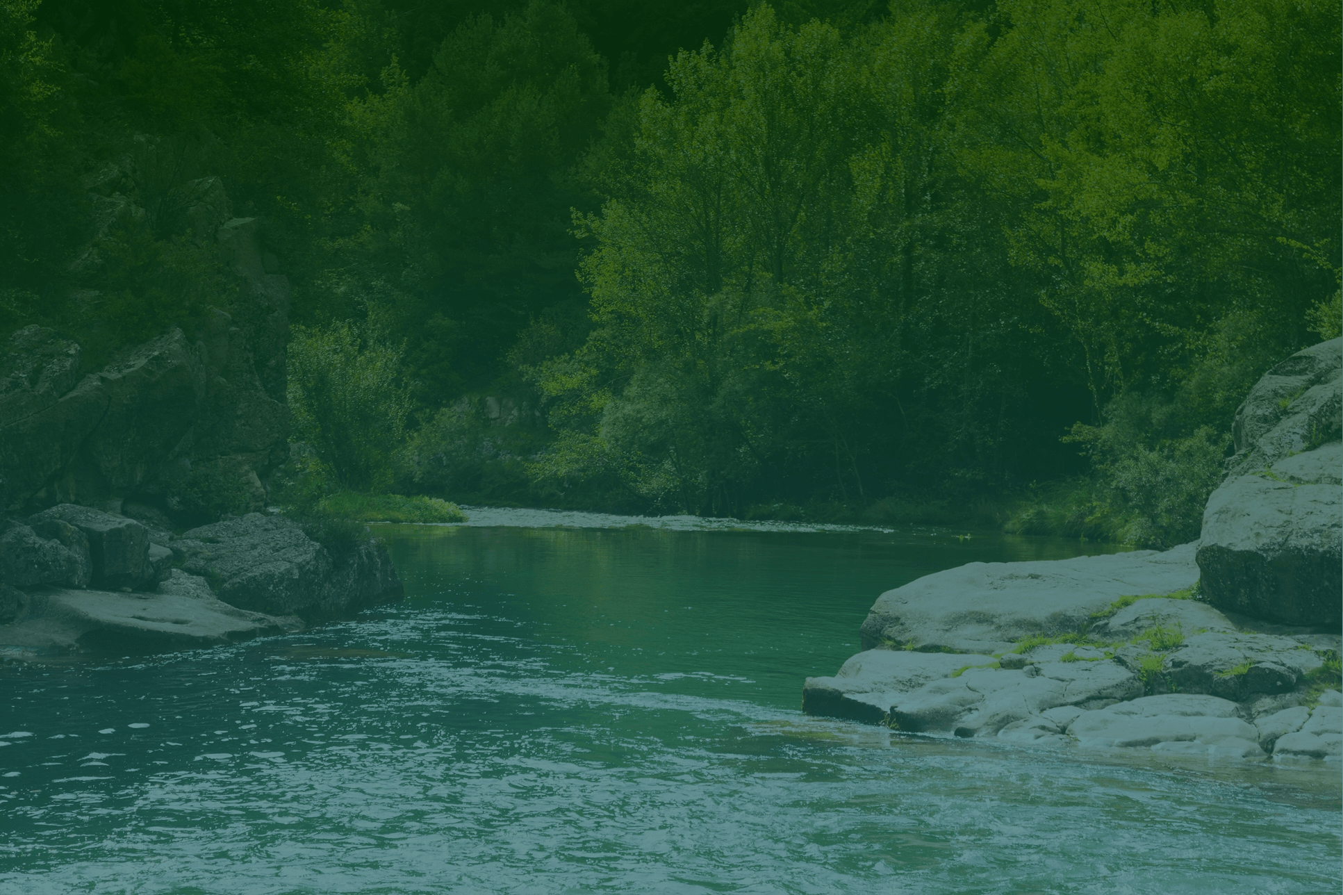 Greener Roofs, Cleaner Water: How Ozone Treatment Enhances Green Roof ...